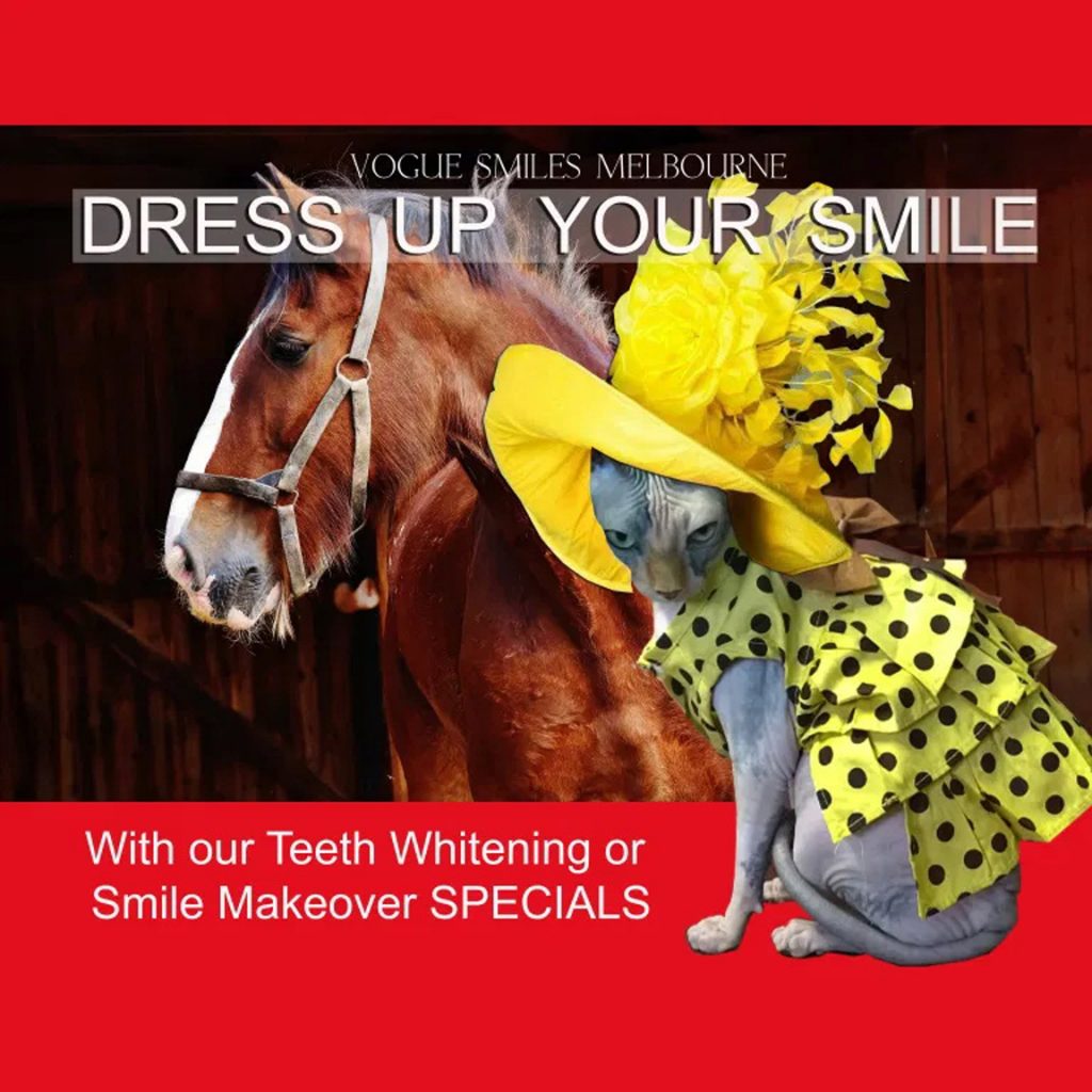 Funny Sphynx Cats memes - Dental Cat Memes