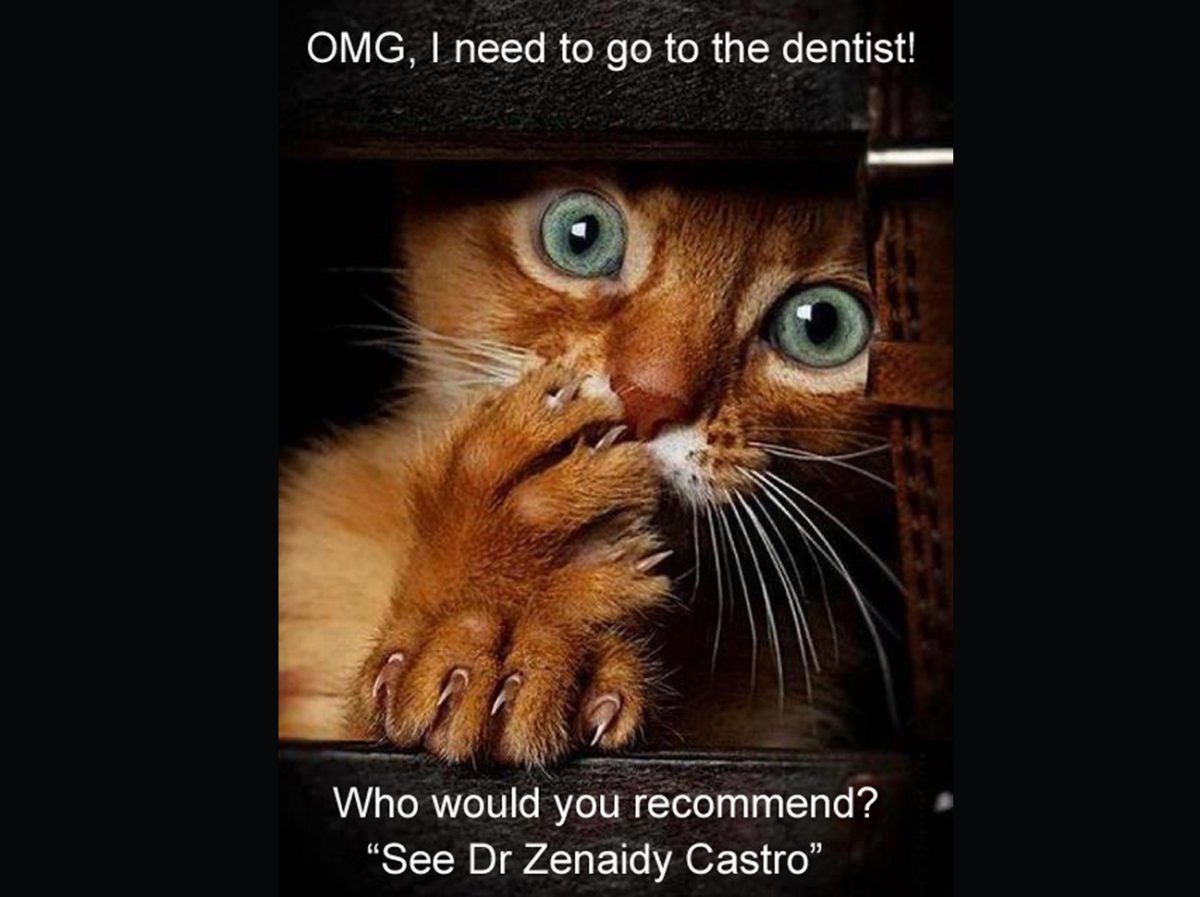 Funny Cute cat memes- Dental Cat memes